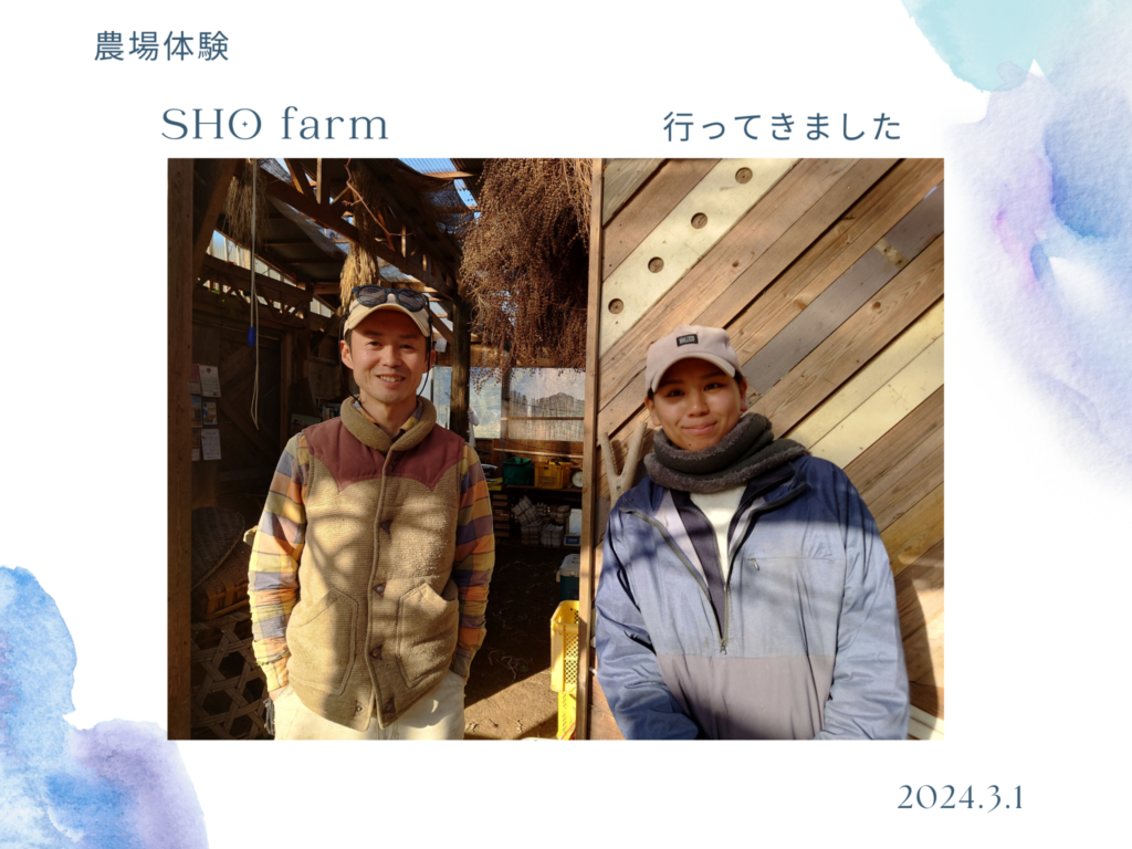 農場訪問記3 SHO-FARM | Irodori農園